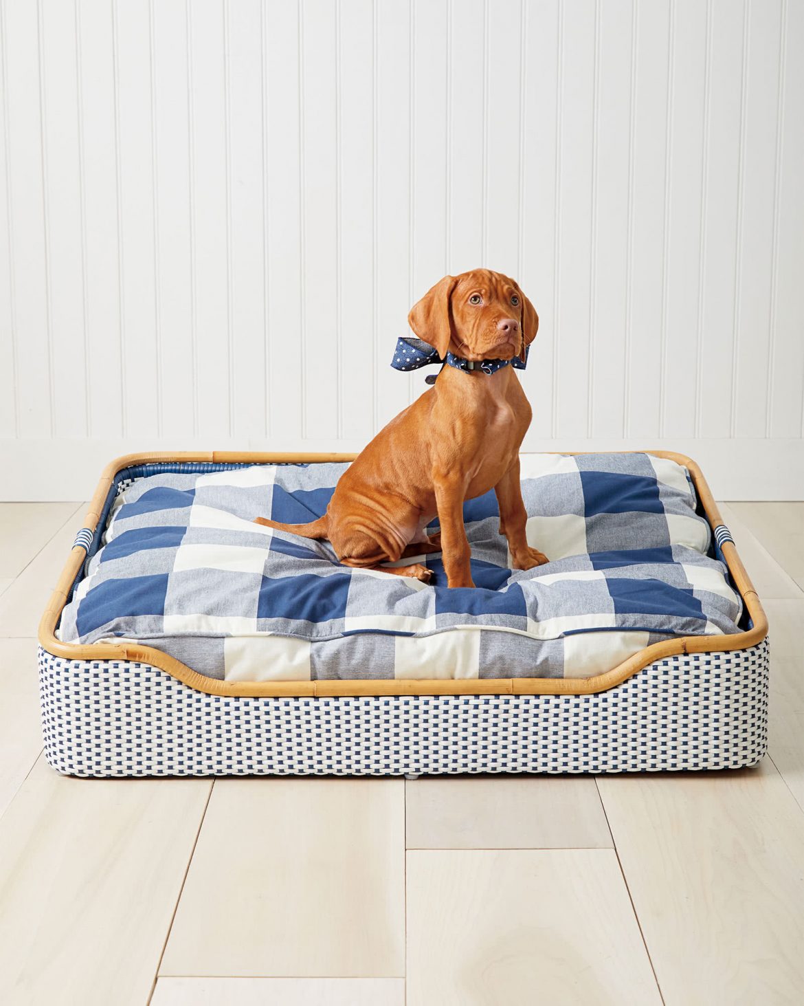 Your Guide to Earth-Friendly Home Products – Washington Life Magazine