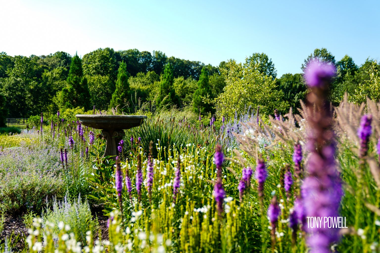 Outside Homes: An Artist’s Eye, A Castle’s Brook – Washington Life Magazine