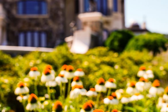 Inside Homes: Embracing Change – Washington Life Magazine